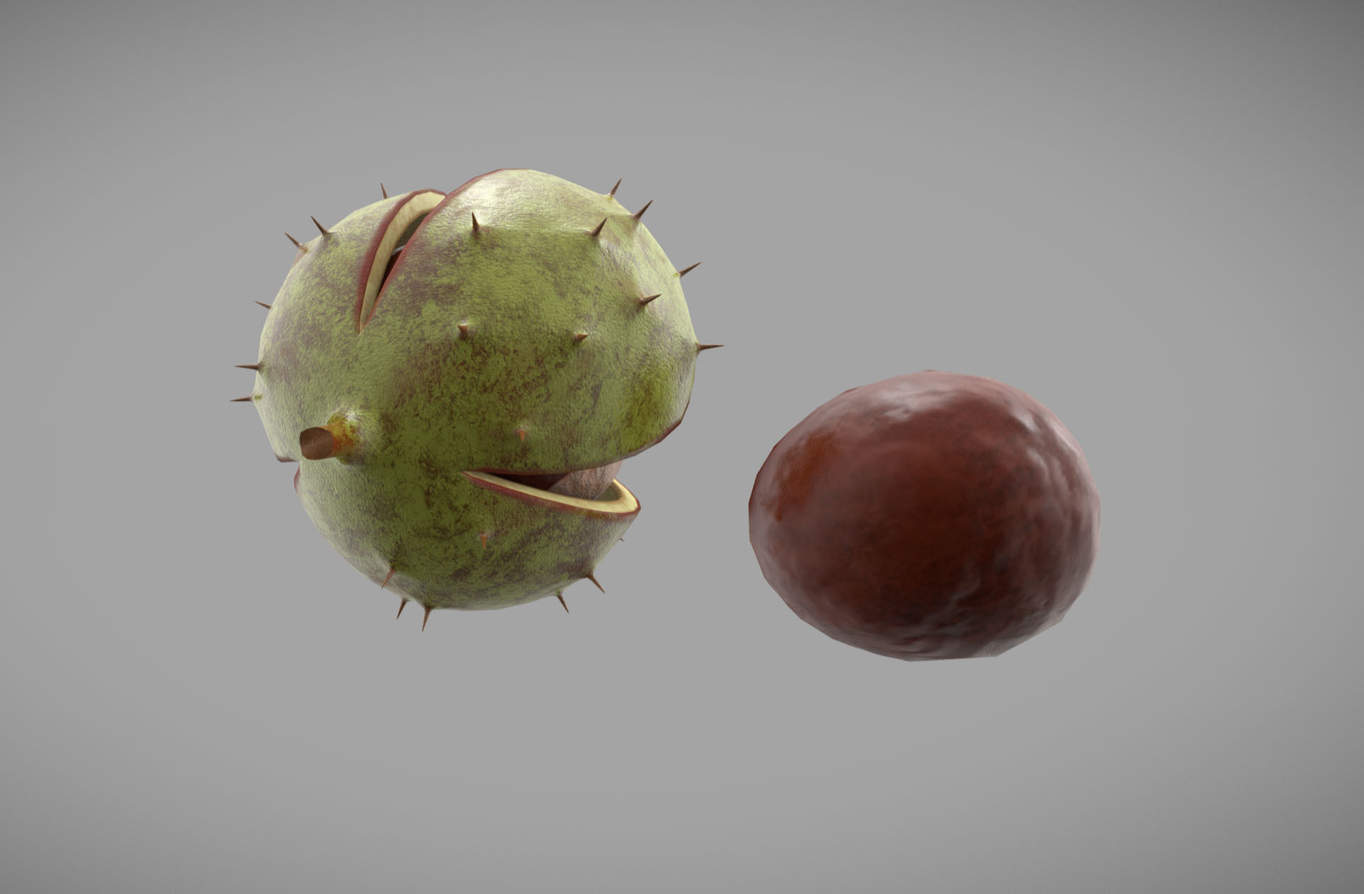 3D model My 3dsmax Chestnut 3d model VR / AR / low-poly | CGTrader