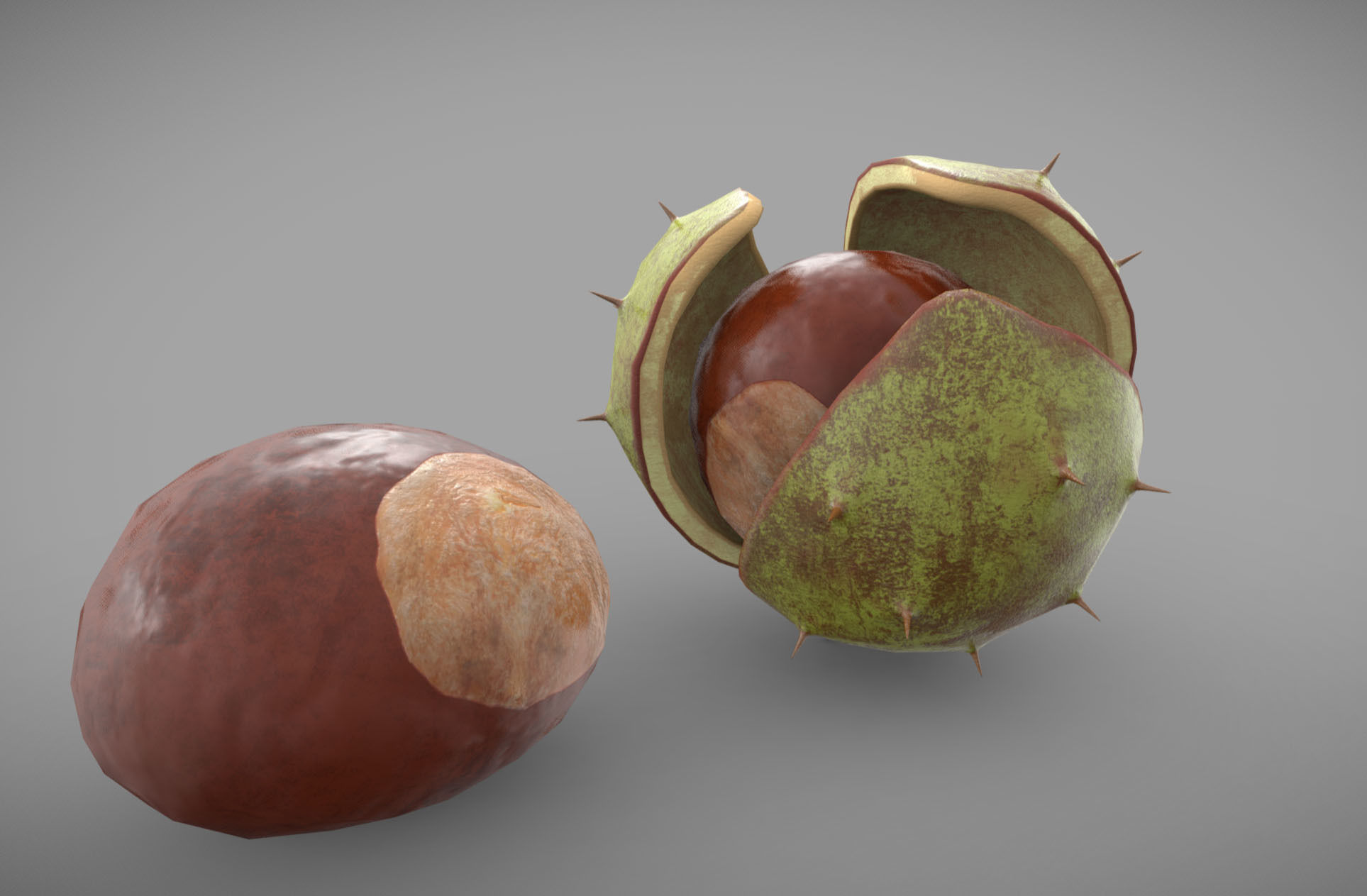 3D model My 3dsmax Chestnut 3d model VR / AR / low-poly | CGTrader