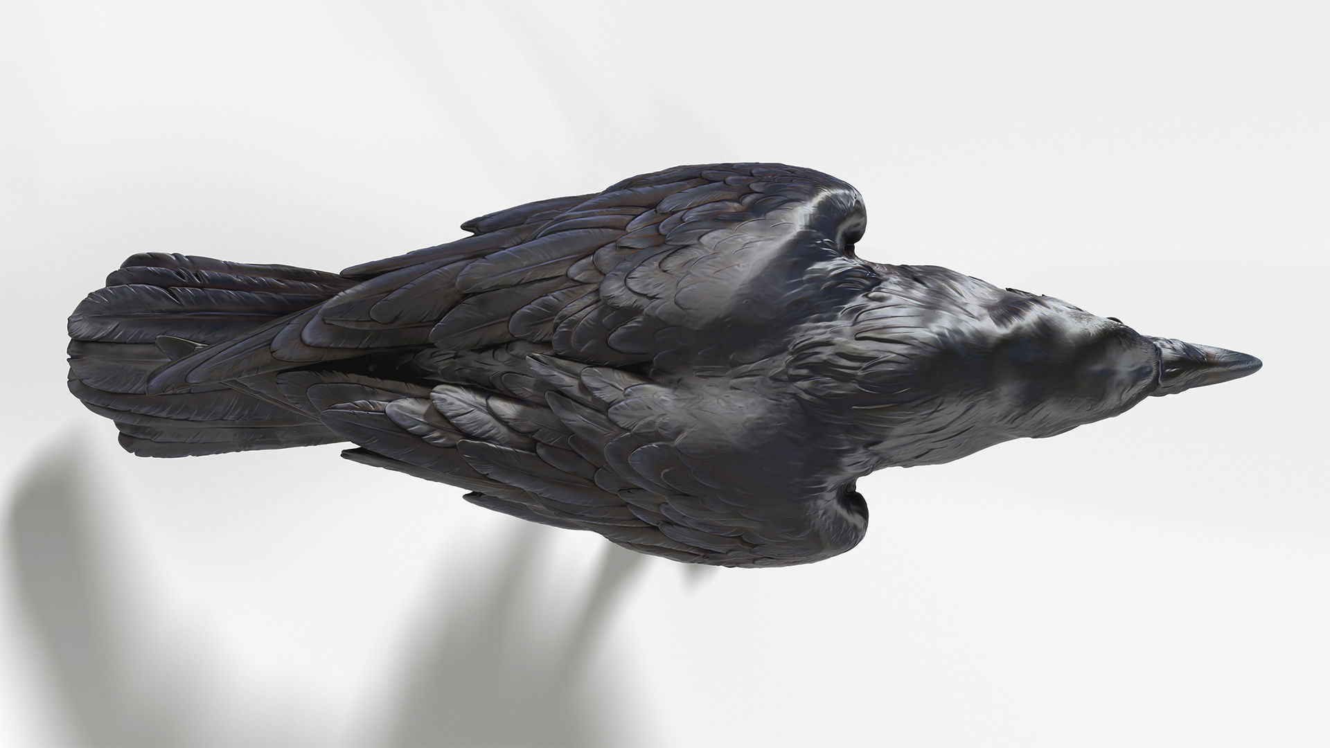 Crow - 3D Sculpting - High Poly 3D model 3D printable | CGTrader