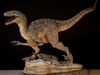 Velociraptor 3D Printing Creation 3D model 3D printable | CGTrader
