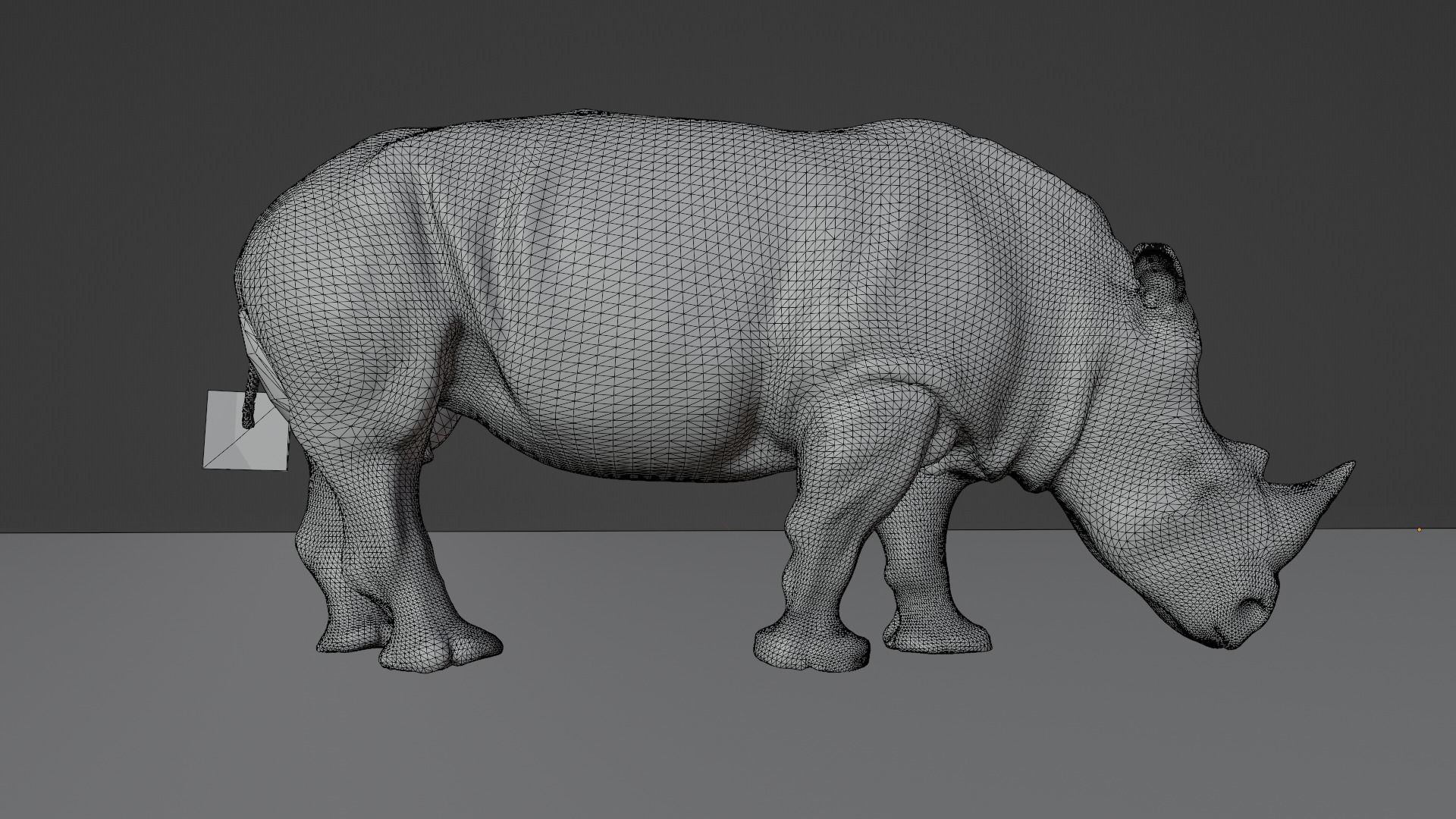 Rhino 3D Animation Model 3D model animated rigged | CGTrader