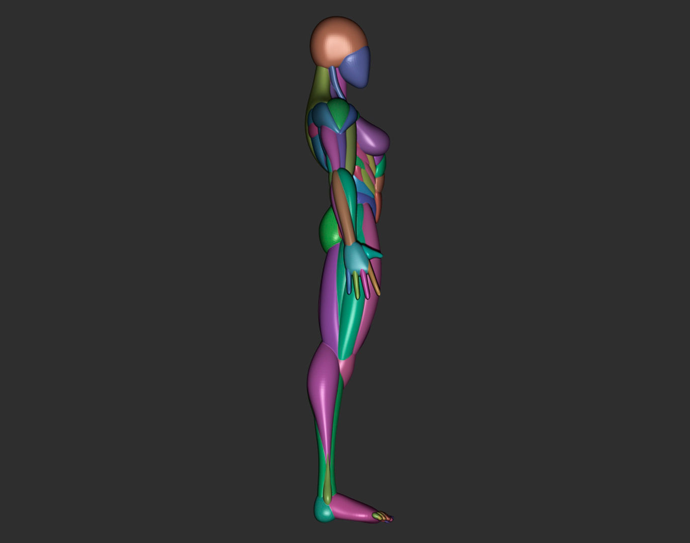 stylized female body blocking model 3D model 3D model | CGTrader