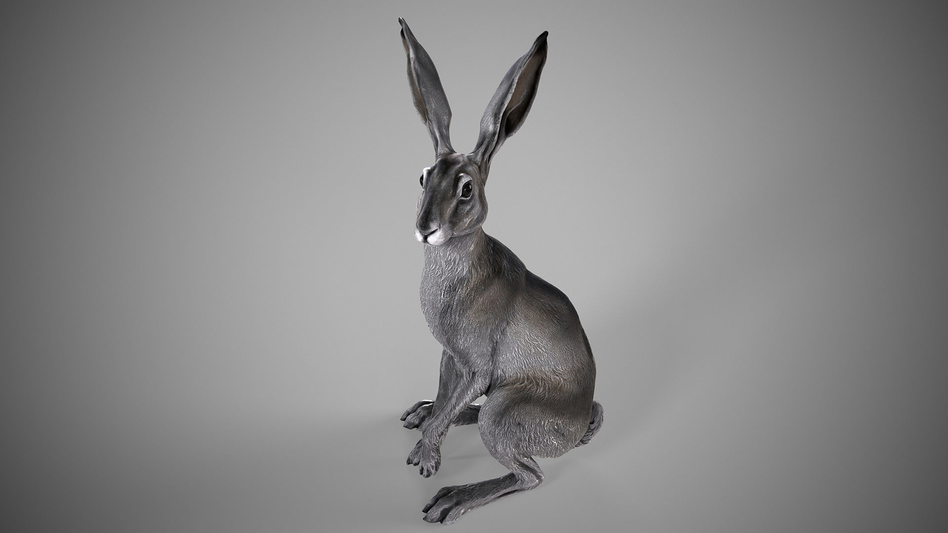 Hare - 3D Sculpting - High Poly 3D model 3D printable | CGTrader