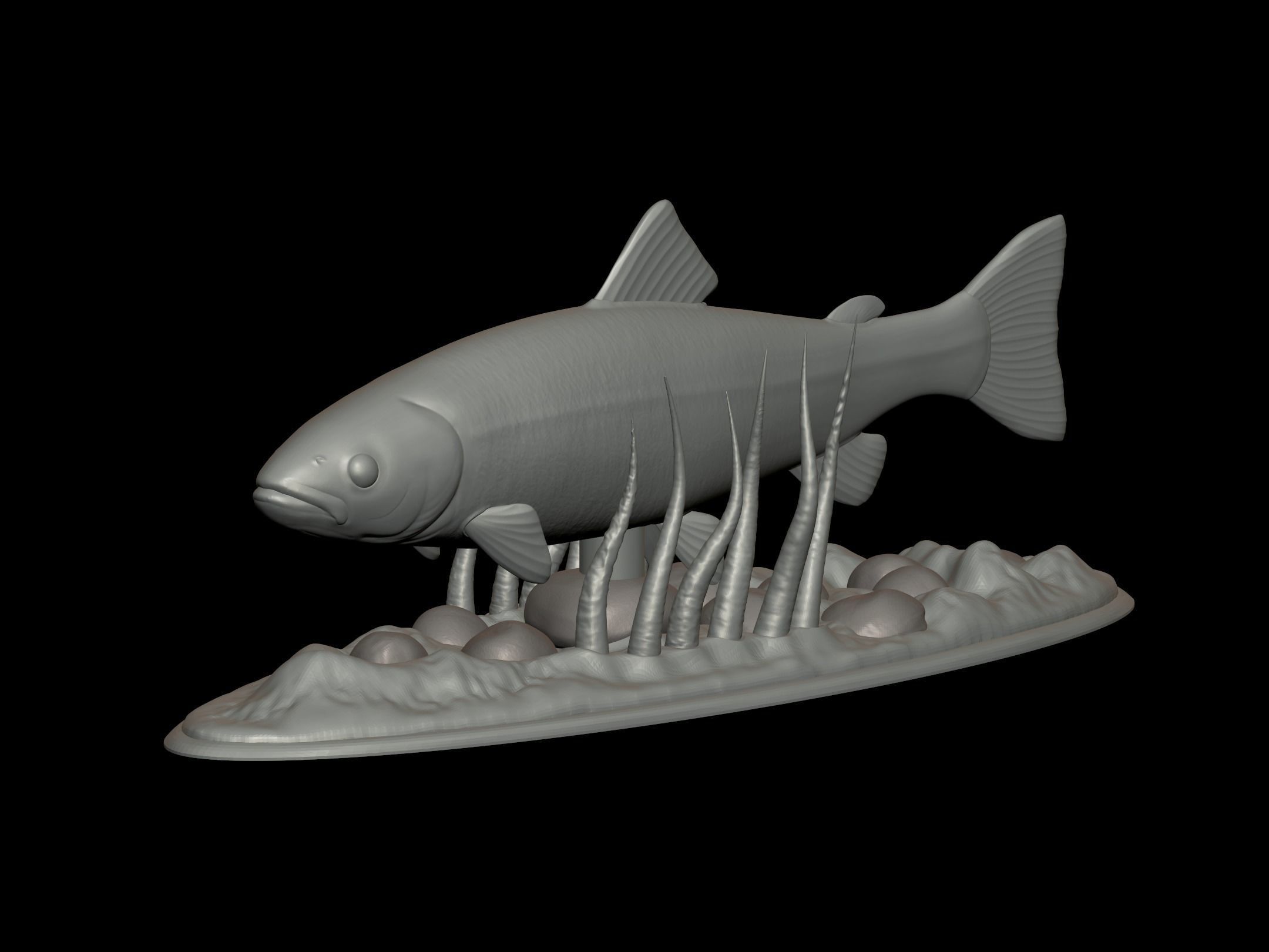 Rainbow Trout underwater statue detailed texture for 3D 3D model 3D ...