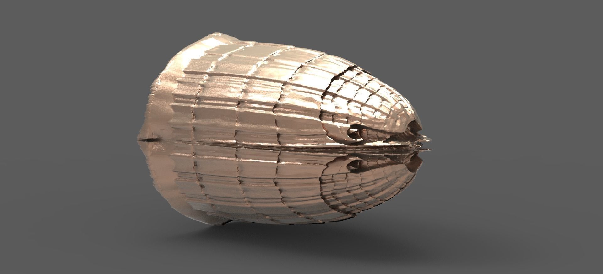 3D model Baroque Shell dome Top VR / AR / low-poly | CGTrader