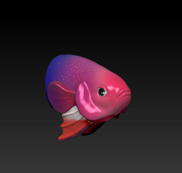 Betta fish head 3D model 3D printable | CGTrader