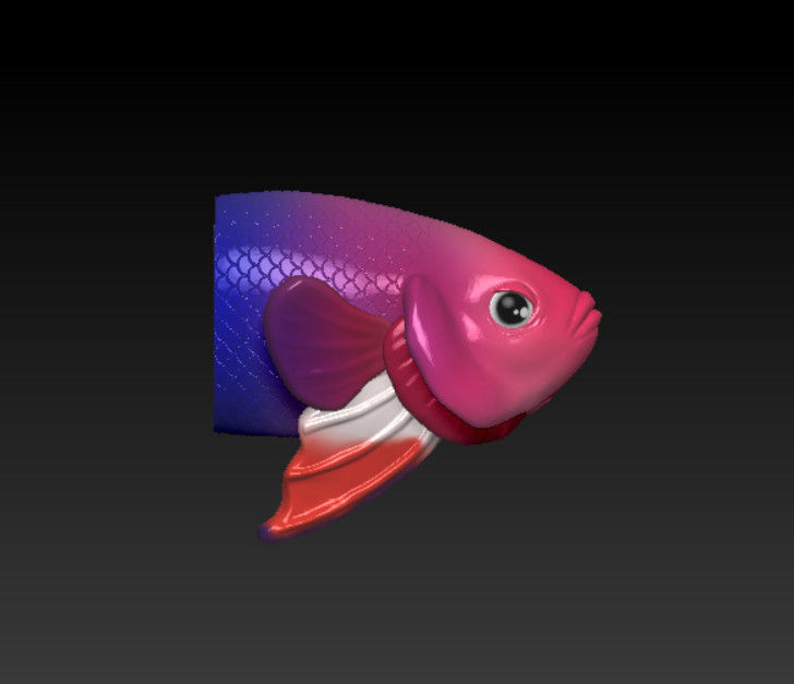 Betta fish head 3D model 3D printable | CGTrader