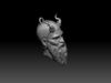 Mimir God Of War FANART free 3D model 3D printable | CGTrader