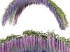 Wisteria Tree 3D model | CGTrader