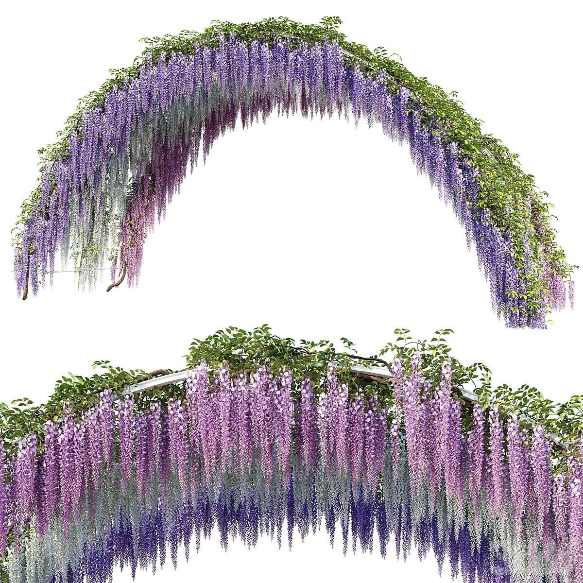 Wisteria Tree 3D model | CGTrader