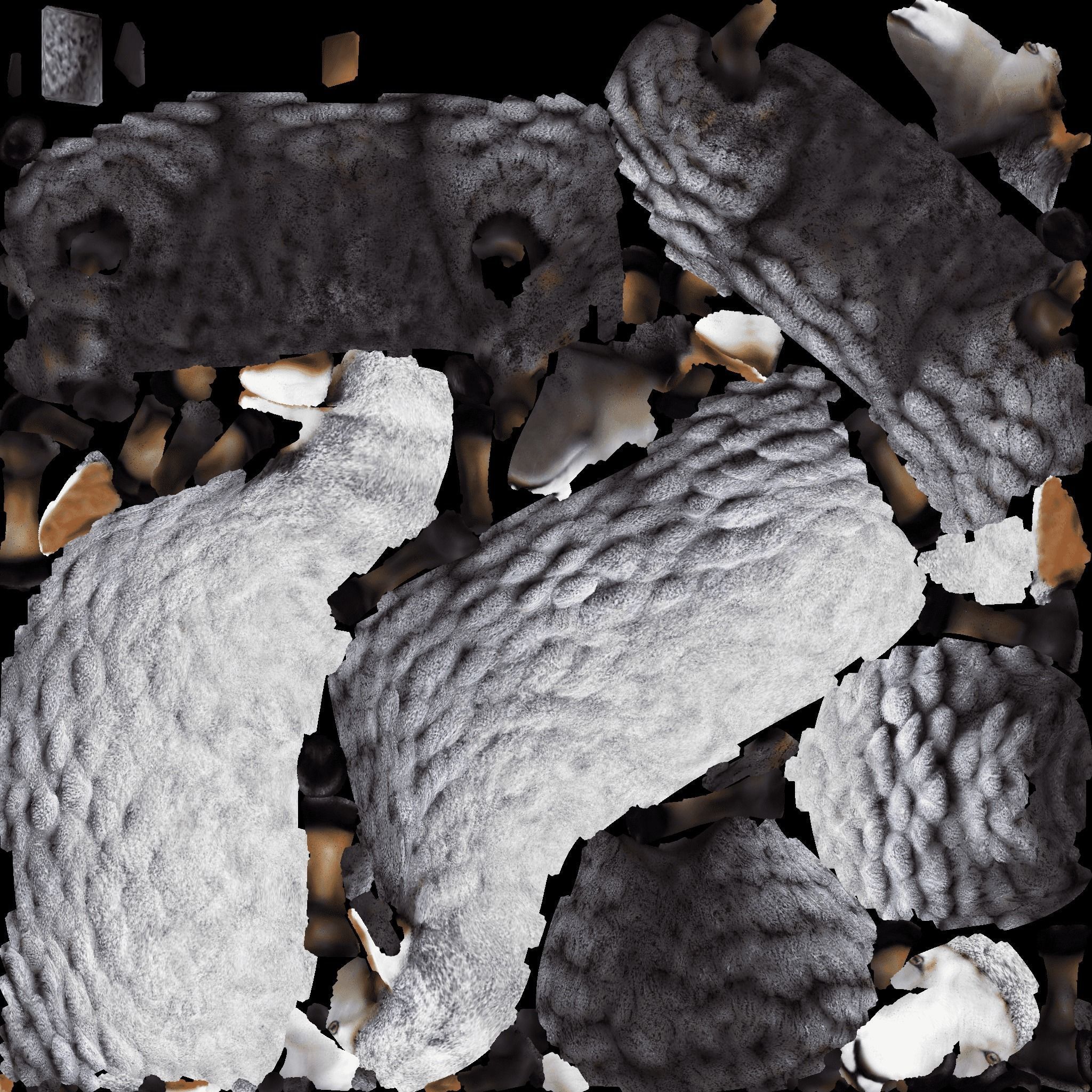 Sheep free 3D model | CGTrader