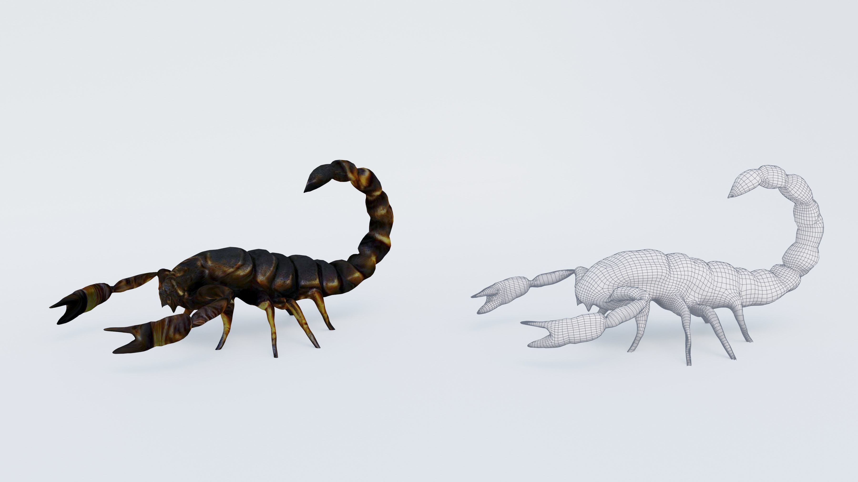 Scorpion free 3D model | CGTrader