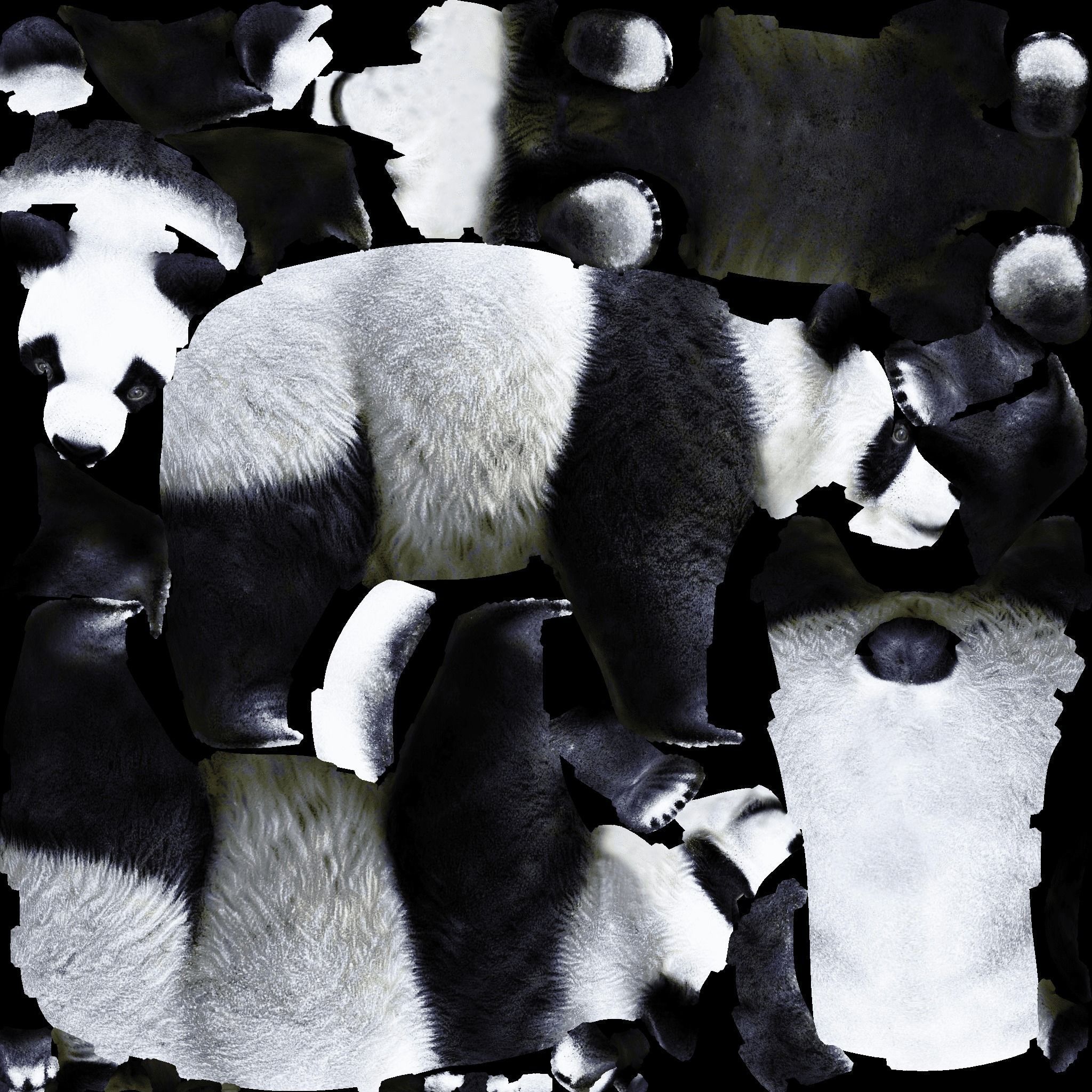 Panda free 3D model | CGTrader