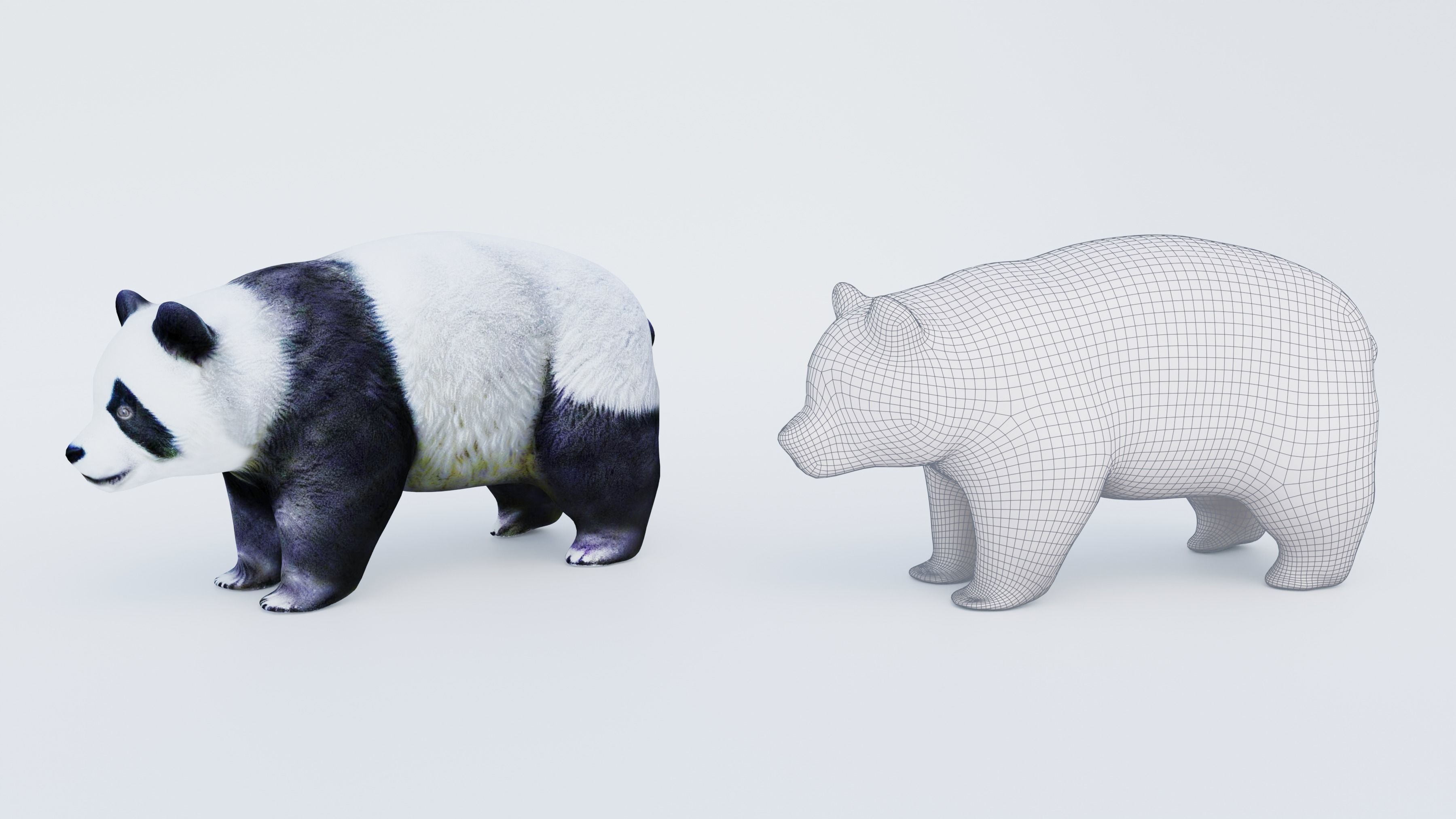 Panda free 3D model | CGTrader