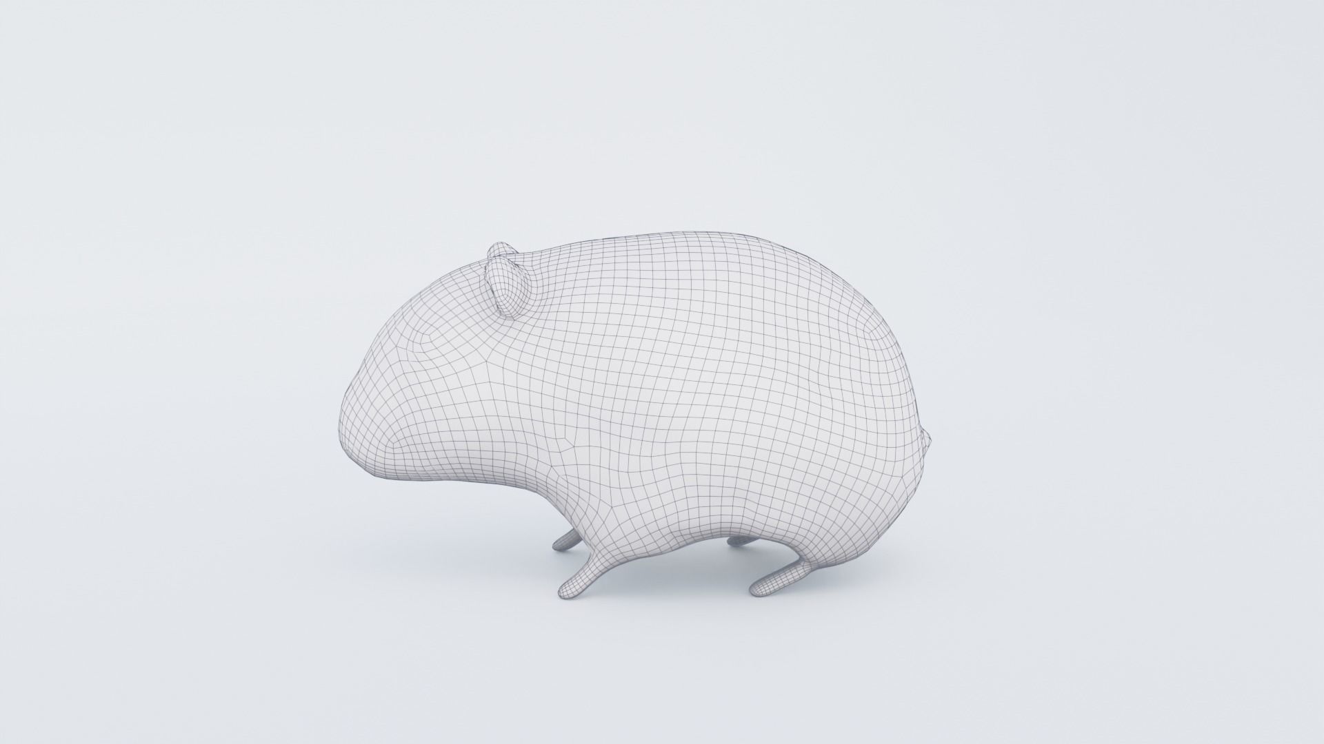 Hamster free 3D model | CGTrader