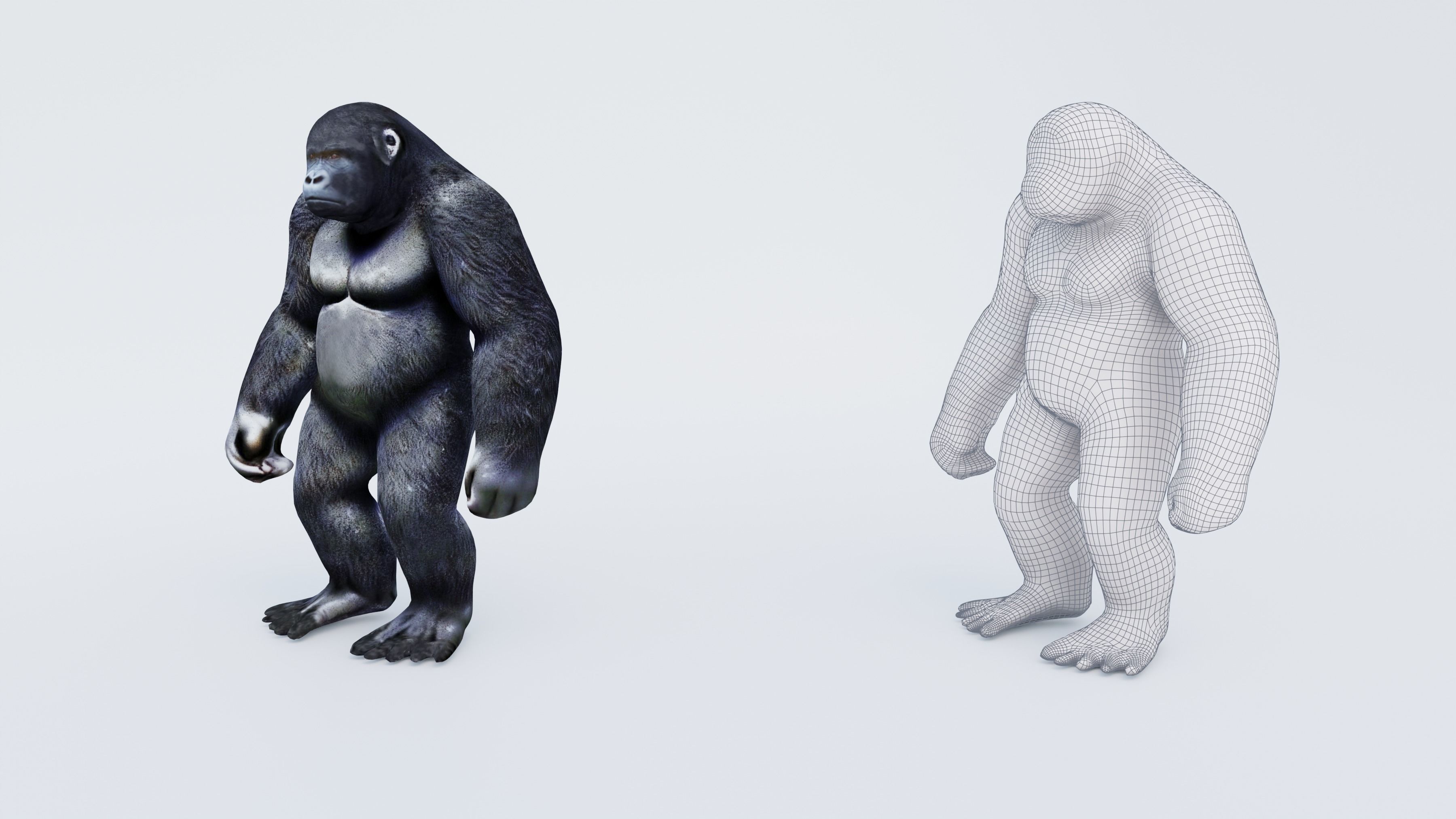 Gorilla free 3D model | CGTrader