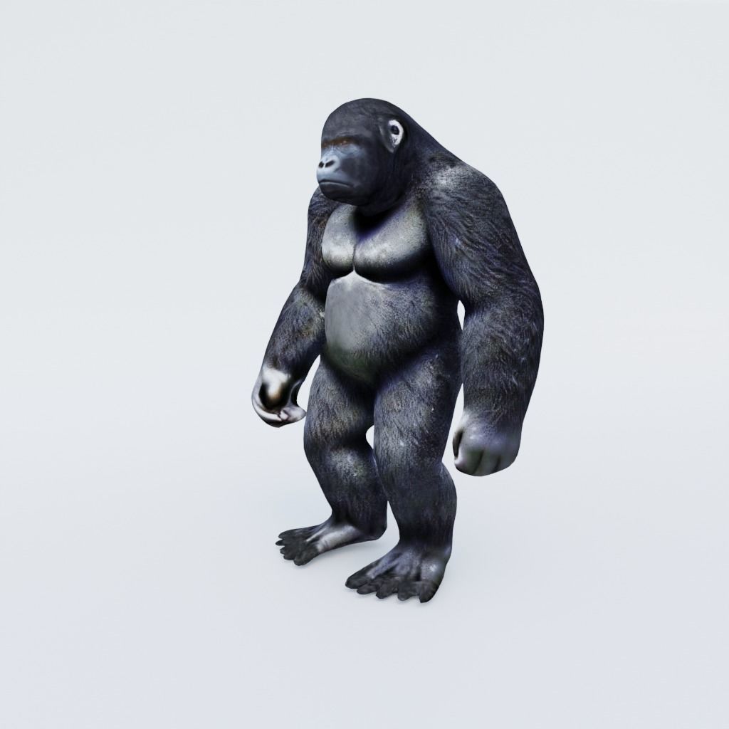 Gorilla free 3D model | CGTrader