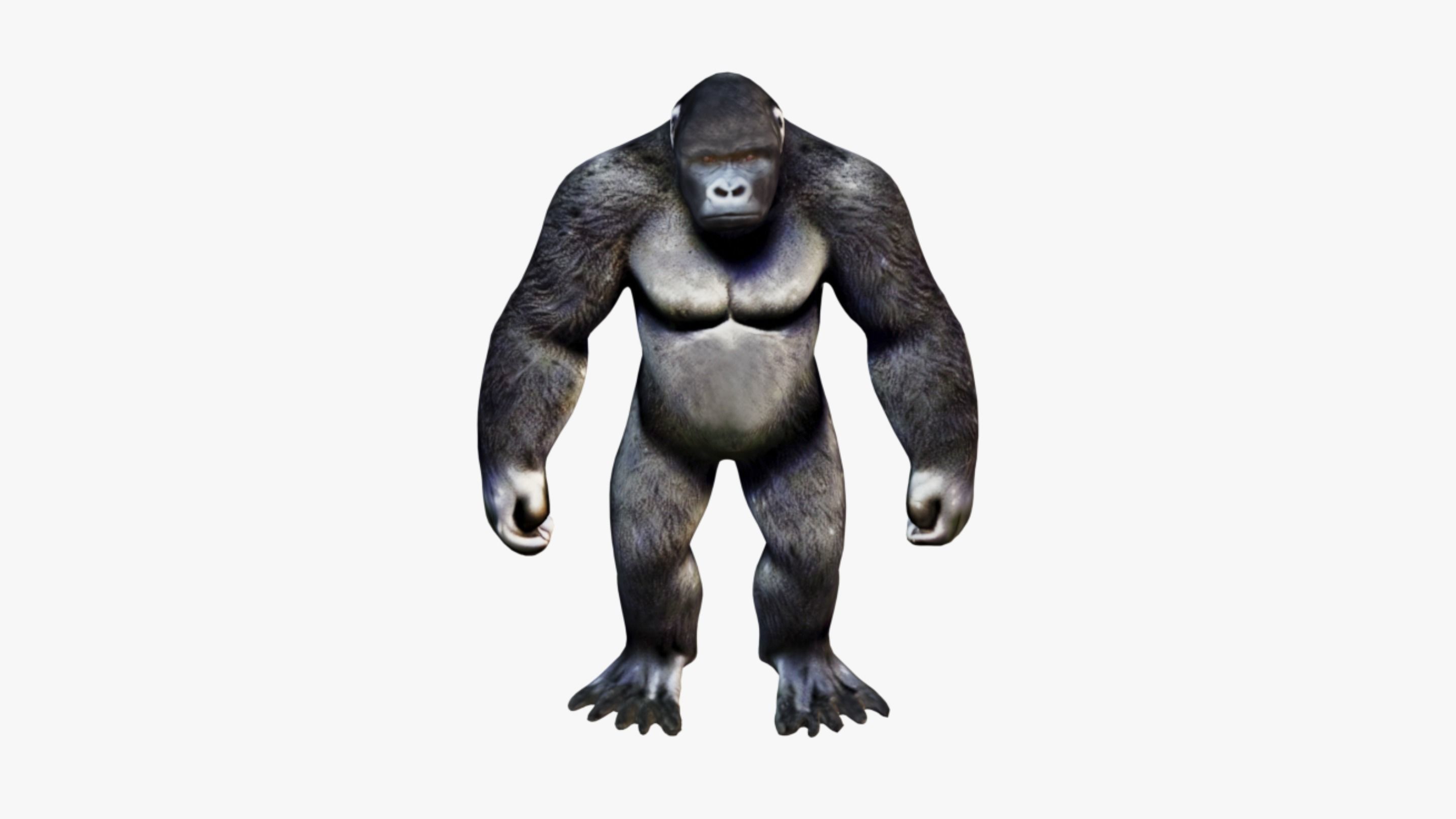 Gorilla free 3D model | CGTrader
