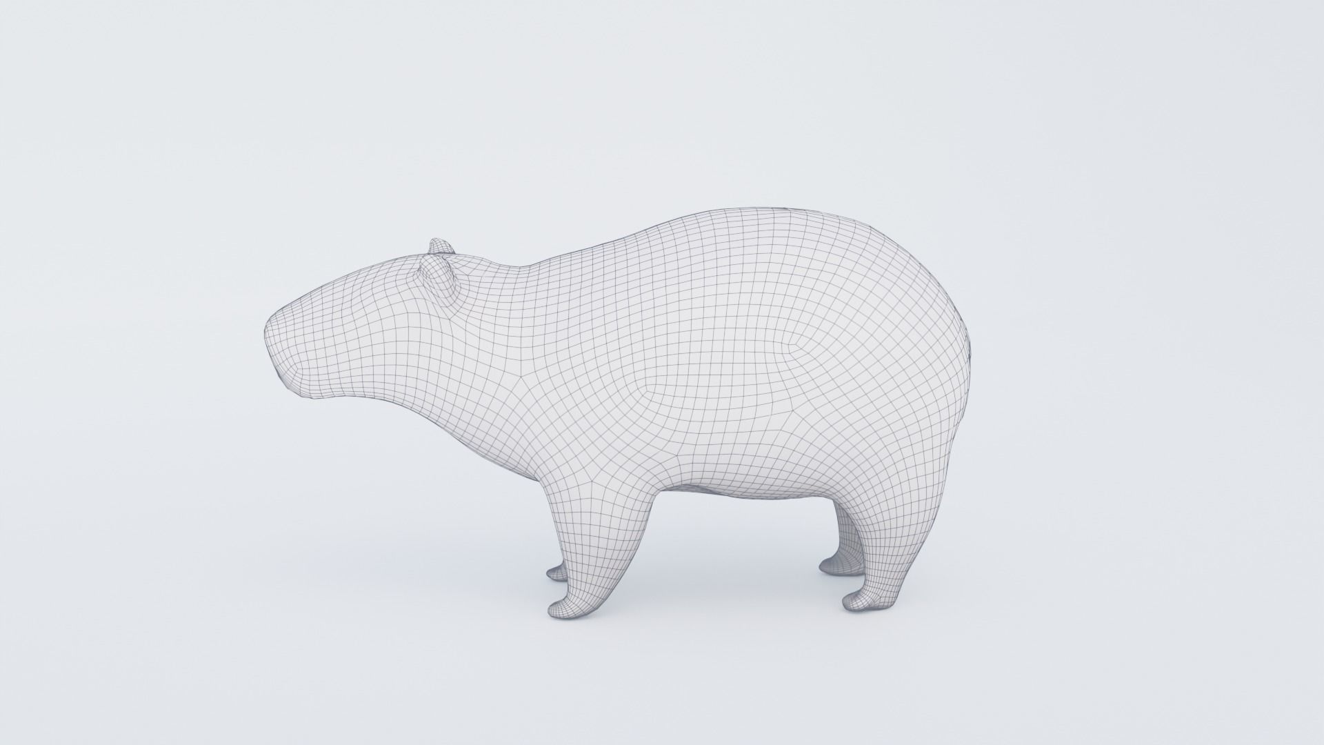Capybara free 3D model | CGTrader