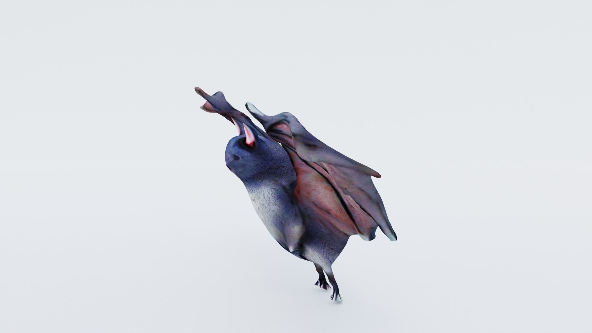 Bat Animal free 3D model | CGTrader