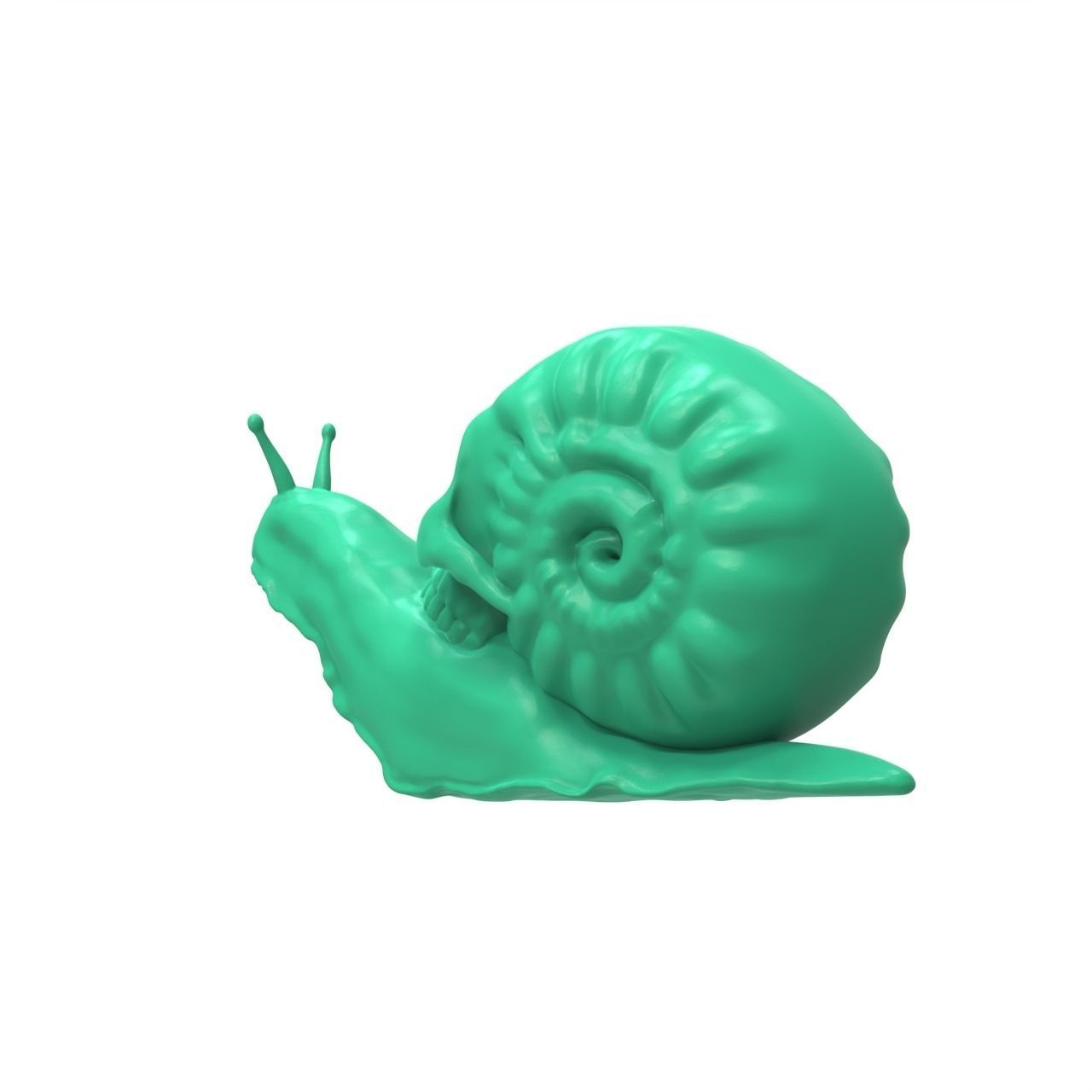 Snail Skull 3D model 3D printable | CGTrader