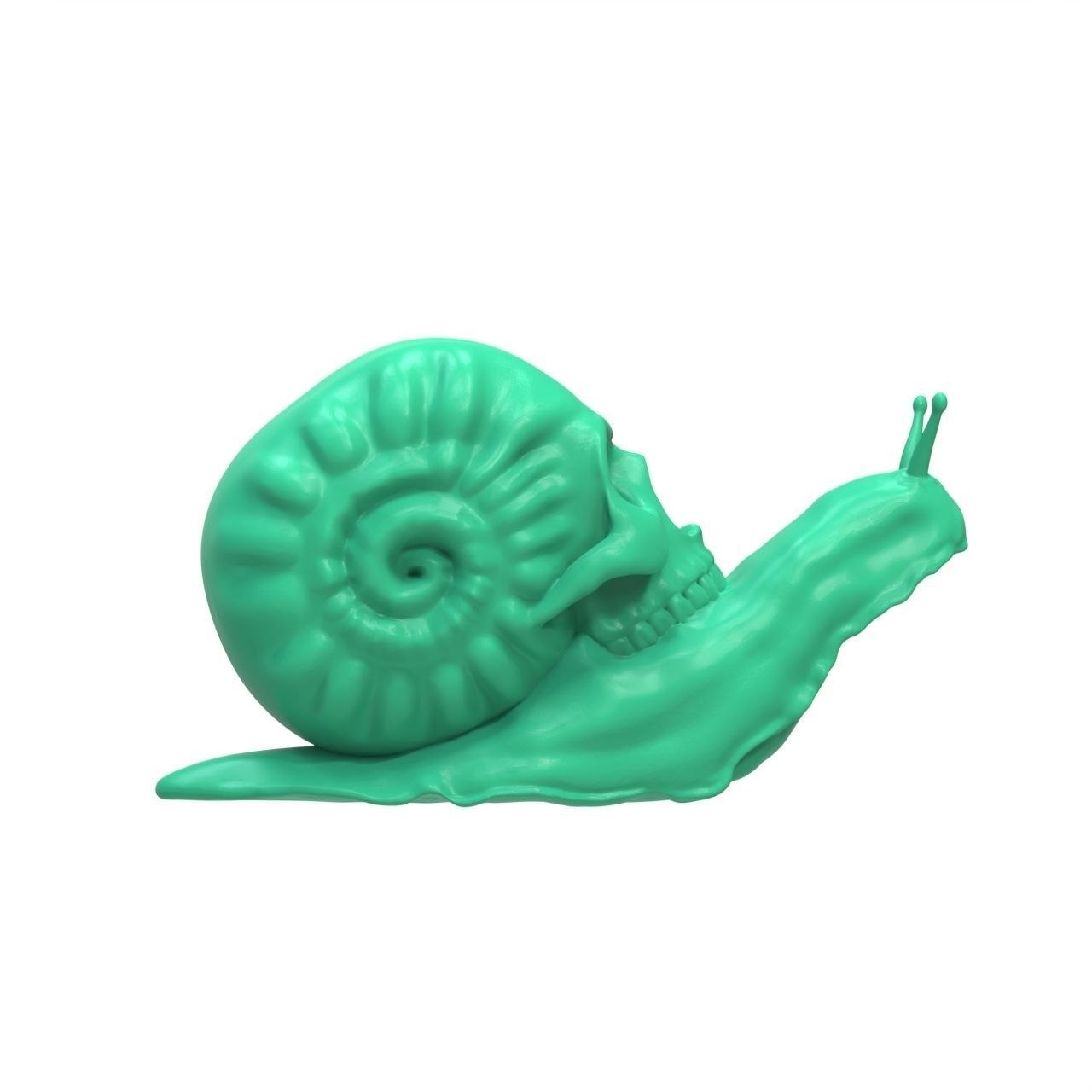 Snail Skull 3D model 3D printable | CGTrader