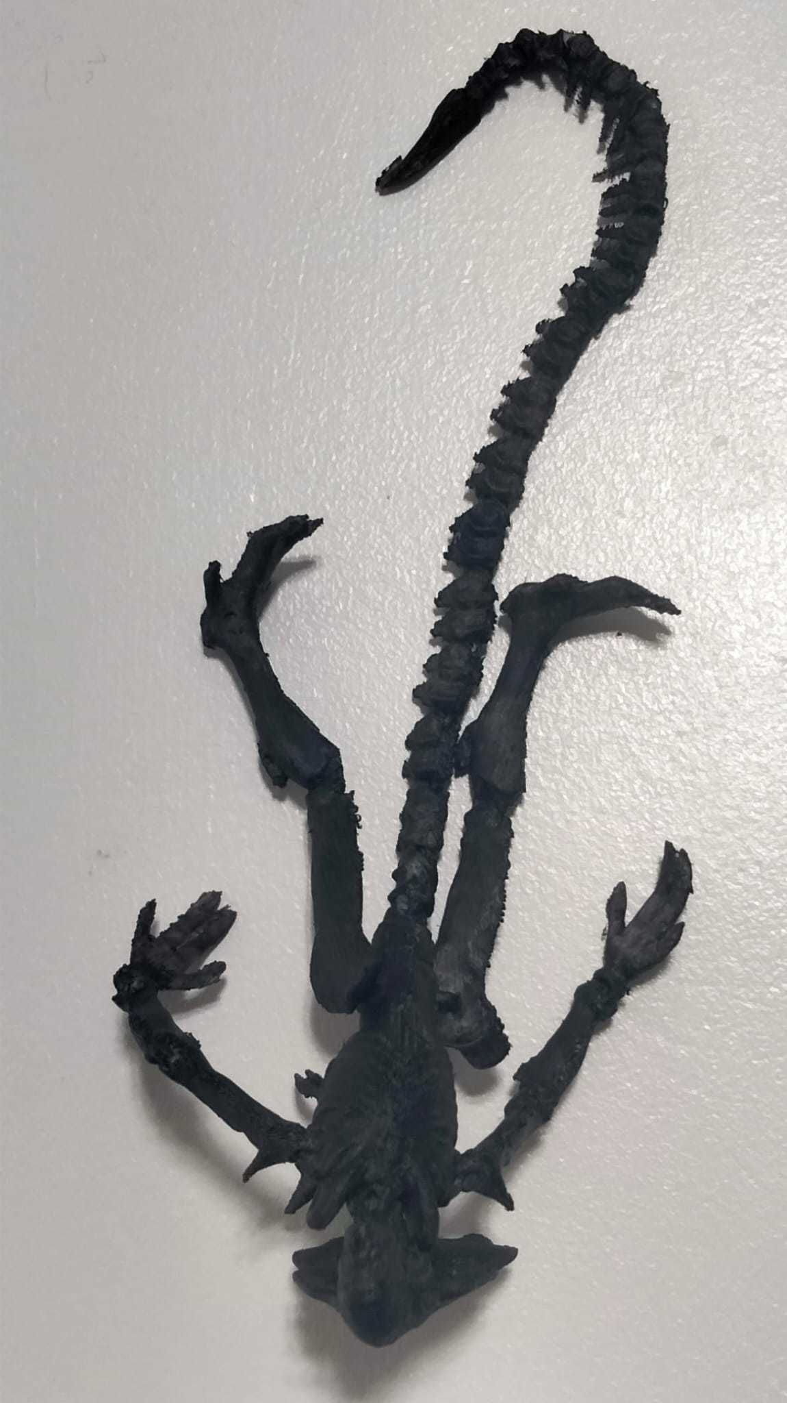 REAL ALIEN XENOMORPH FLEXI free 3D model 3D printable | CGTrader