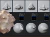 Noses VDM Brushes for Blender 3D model | CGTrader