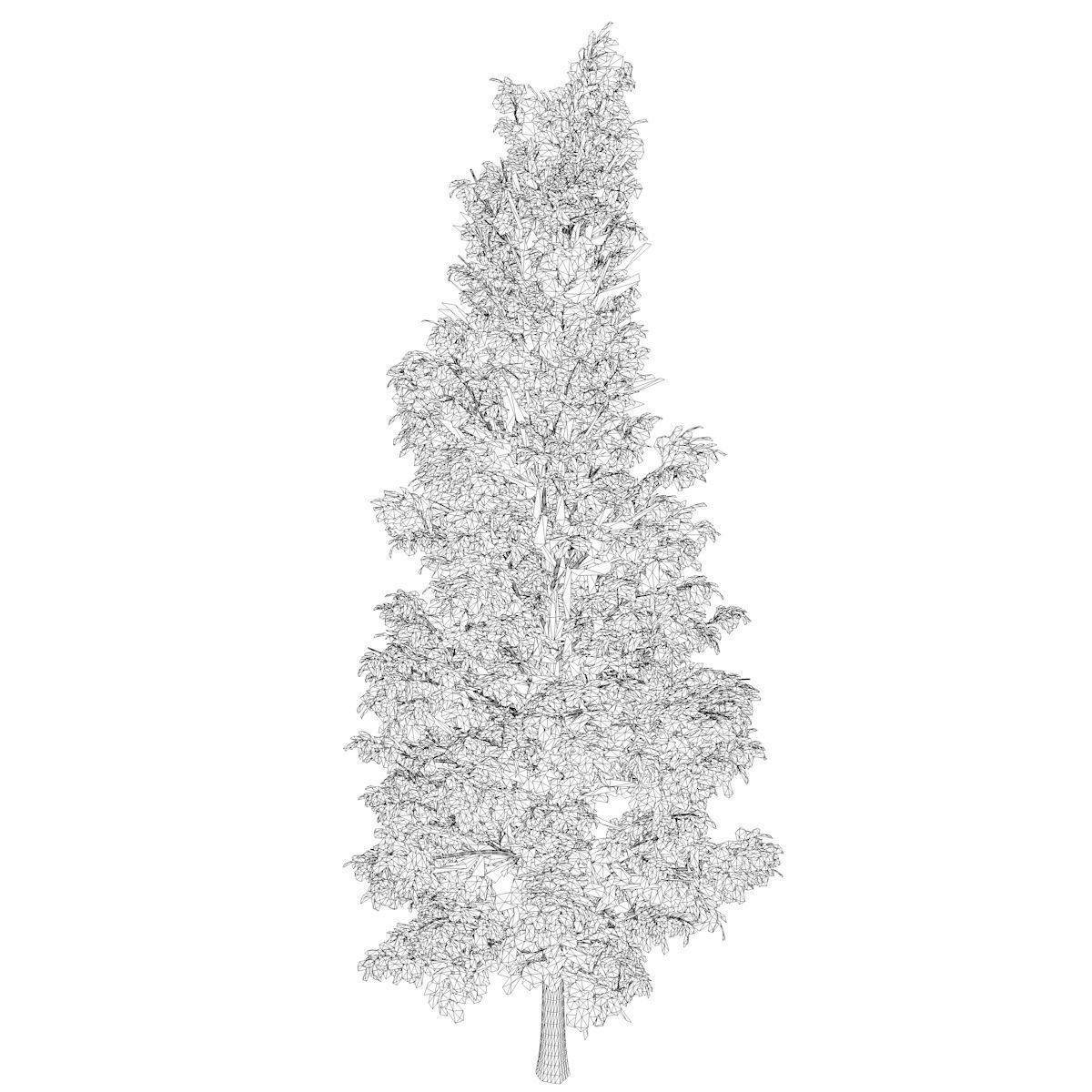 American Holly Tree - 05 - 3D model | CGTrader