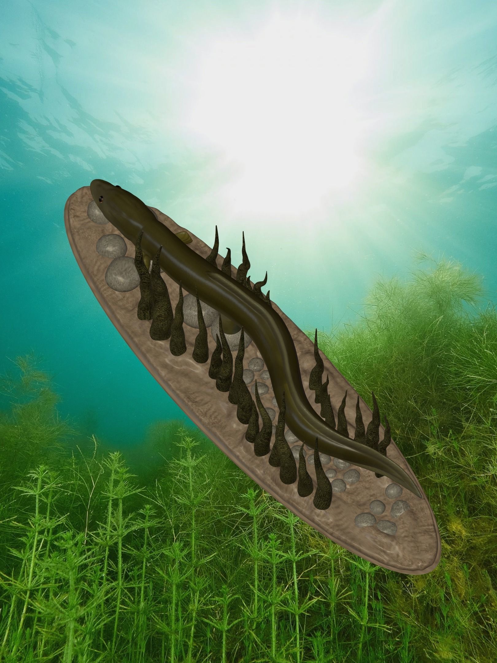 Eel underwater statue deatailed texture for 3d printing free 3D model ...