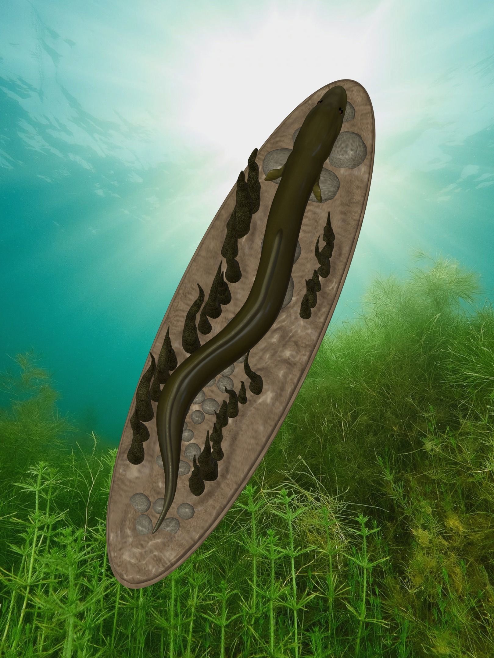 Eel underwater statue deatailed texture for 3d printing free 3D model ...