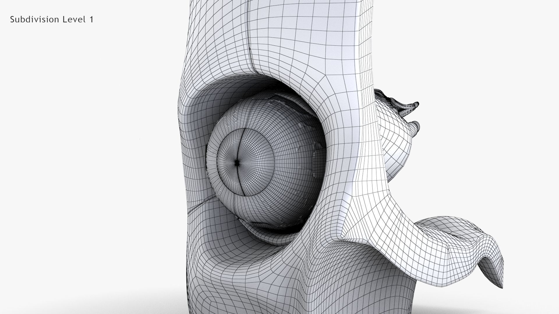 3D model 3D Eye With Anatomical Cross-Section model VR / AR / low-poly | CGTrader