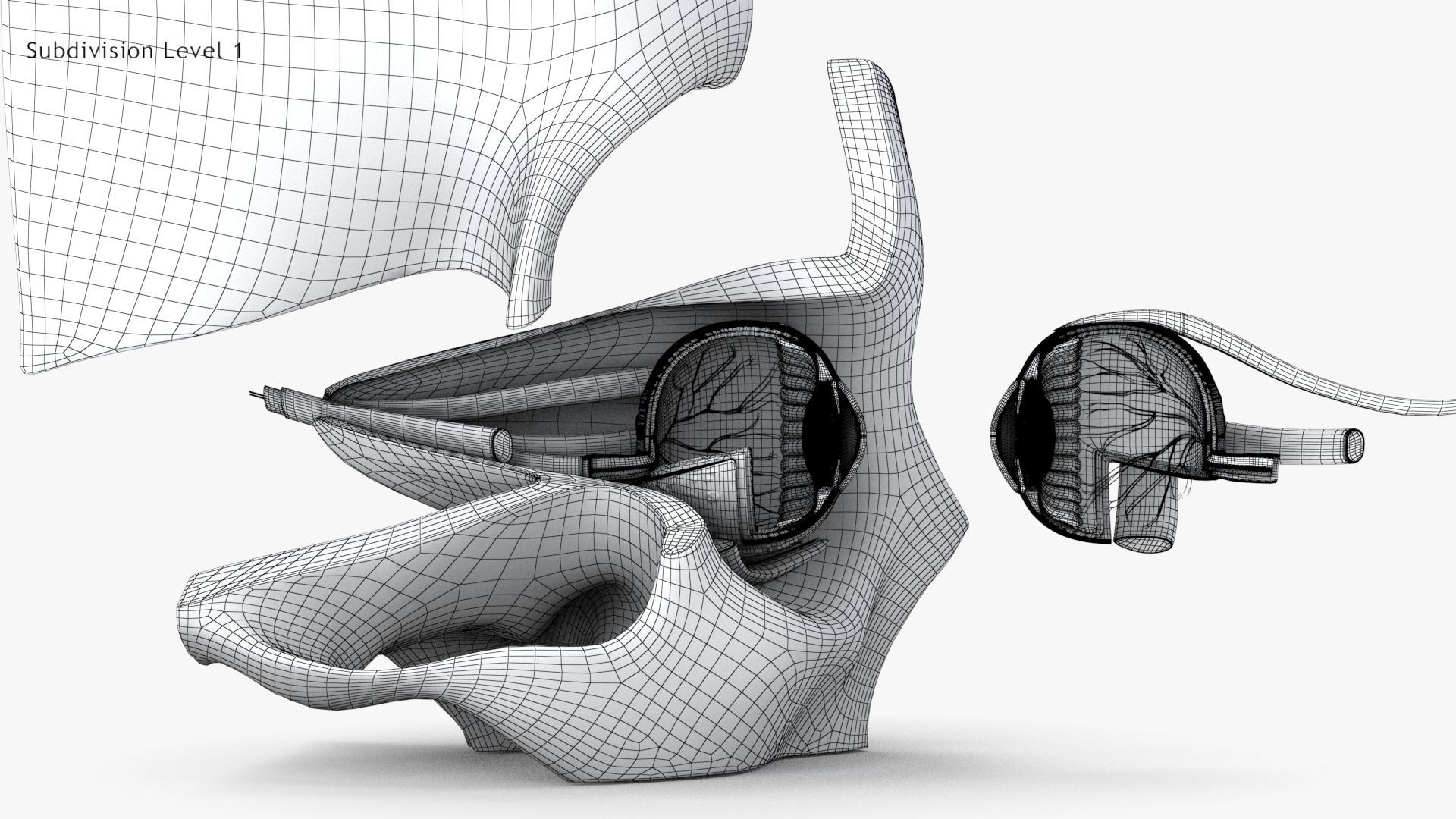 3D model 3D Eye With Anatomical Cross-Section model VR / AR / low-poly ...