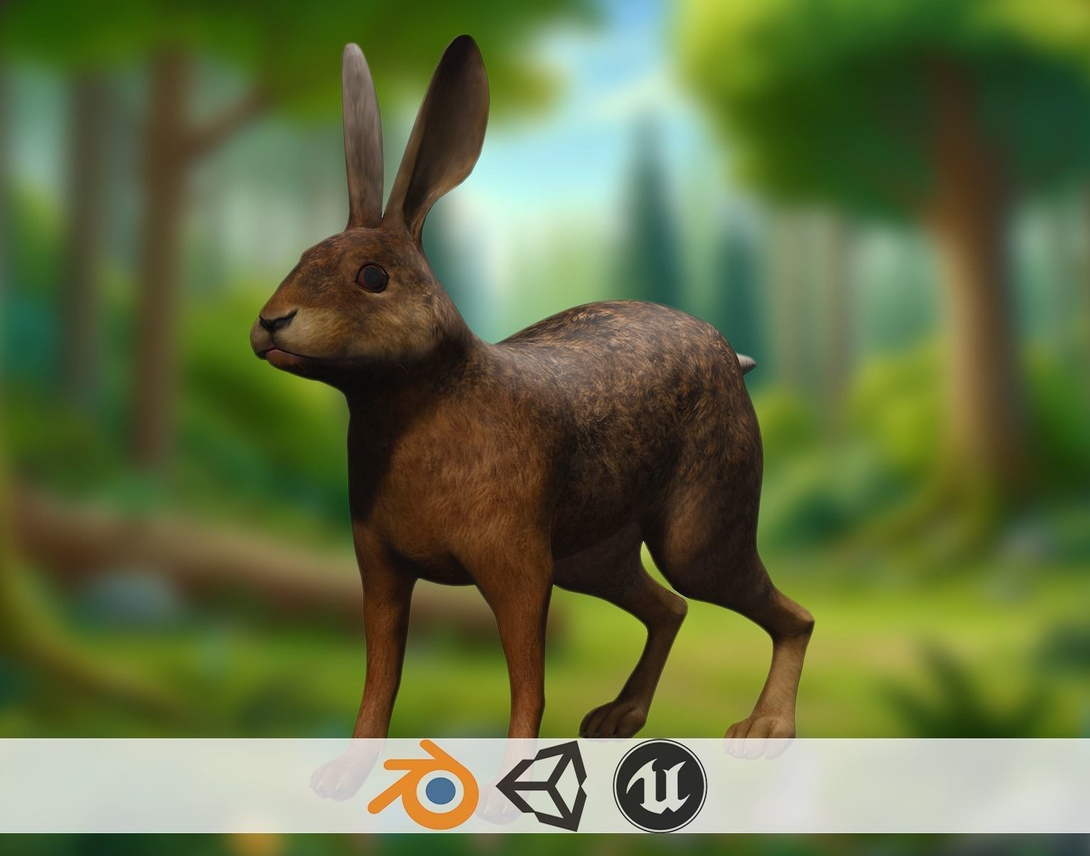 3D model Bouncy Bunny 3D Rabbit Model Realistic hare toon VR / AR / low ...