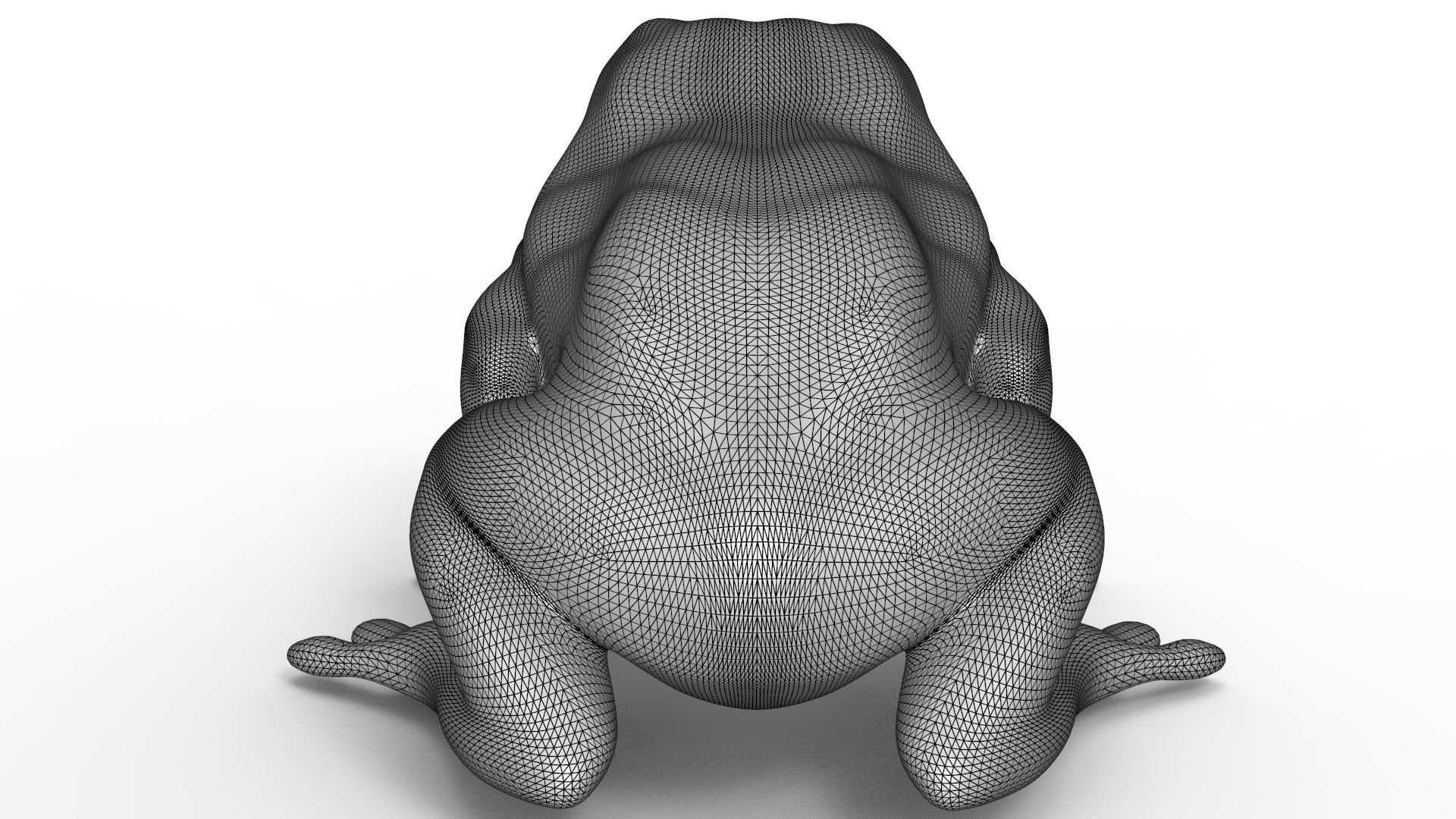 Australian Tree Frog 3D model | CGTrader
