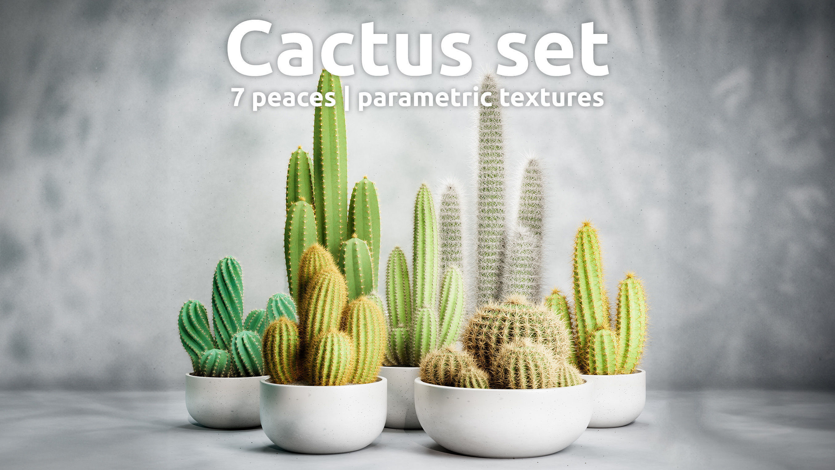 Cactus Set Parametric Textures Realistic 3D model | CGTrader