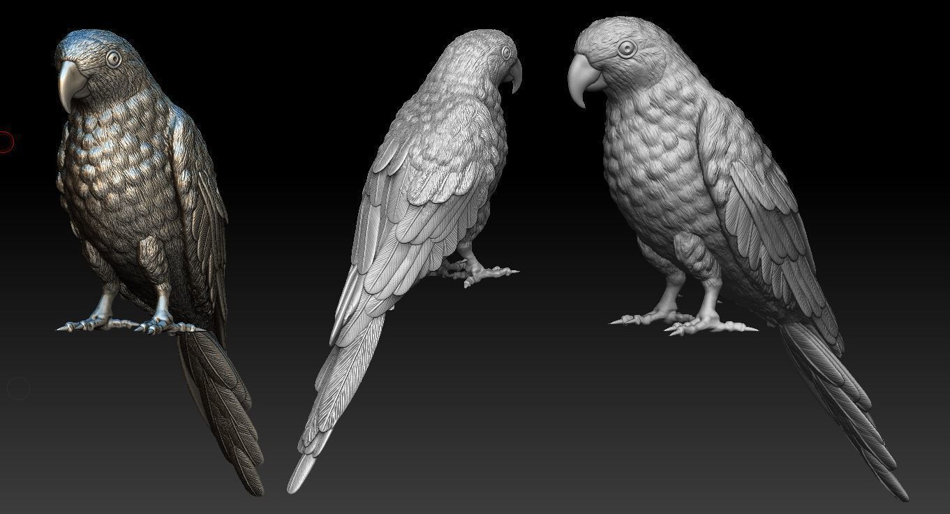 Parrots 3D model for 3d printing 3D model 3D printable | CGTrader