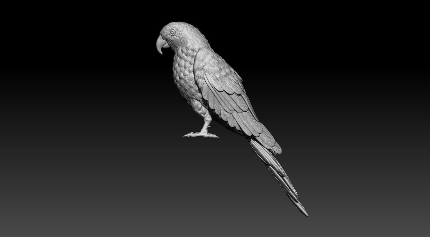 Parrots 3D model for 3d printing 3D model 3D printable | CGTrader