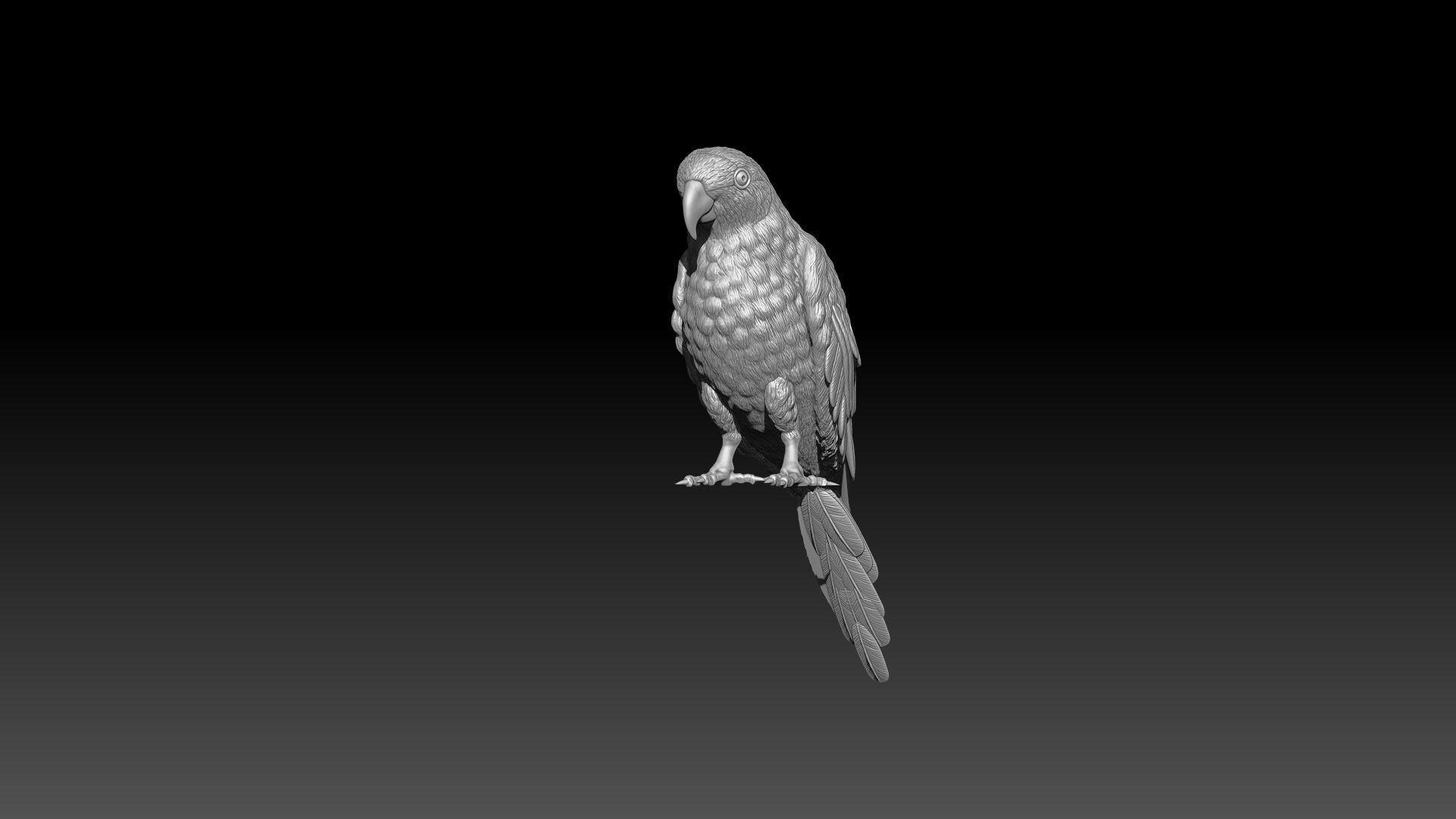 Parrots 3D model for 3d printing 3D model 3D printable | CGTrader