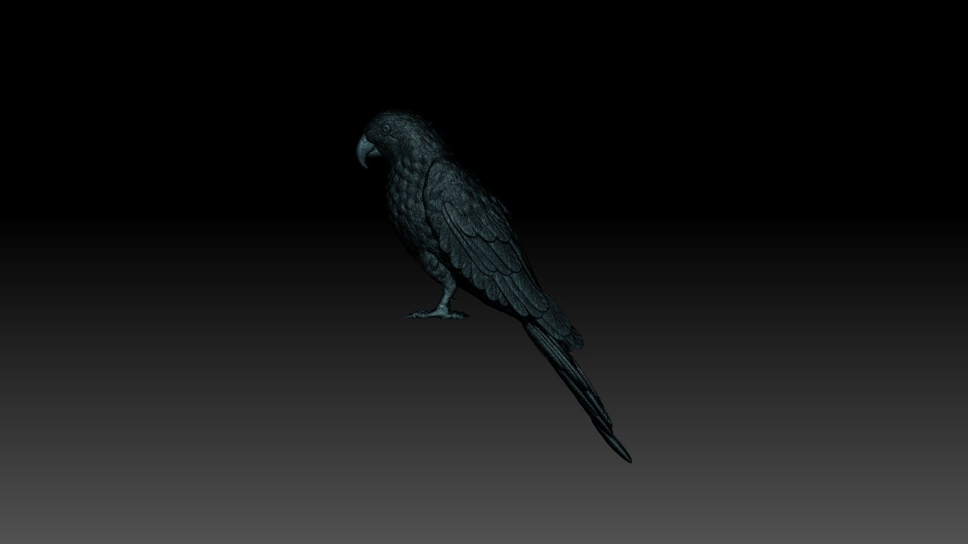 Parrots 3D model for 3d printing 3D model 3D printable | CGTrader