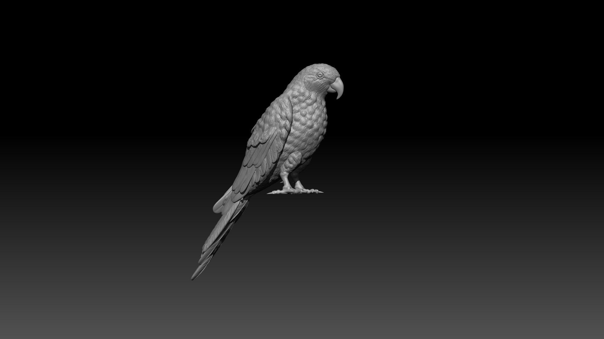 Parrots 3D model for 3d printing 3D model 3D printable | CGTrader