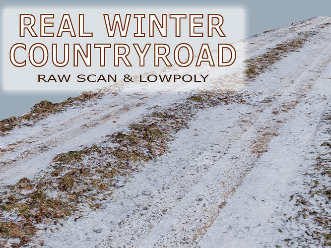 3D model real winter countryroad VR / AR / low-poly | CGTrader