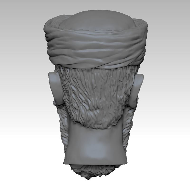 The Bin Laden Head sculpture 3D print model 3D model 3D printable ...