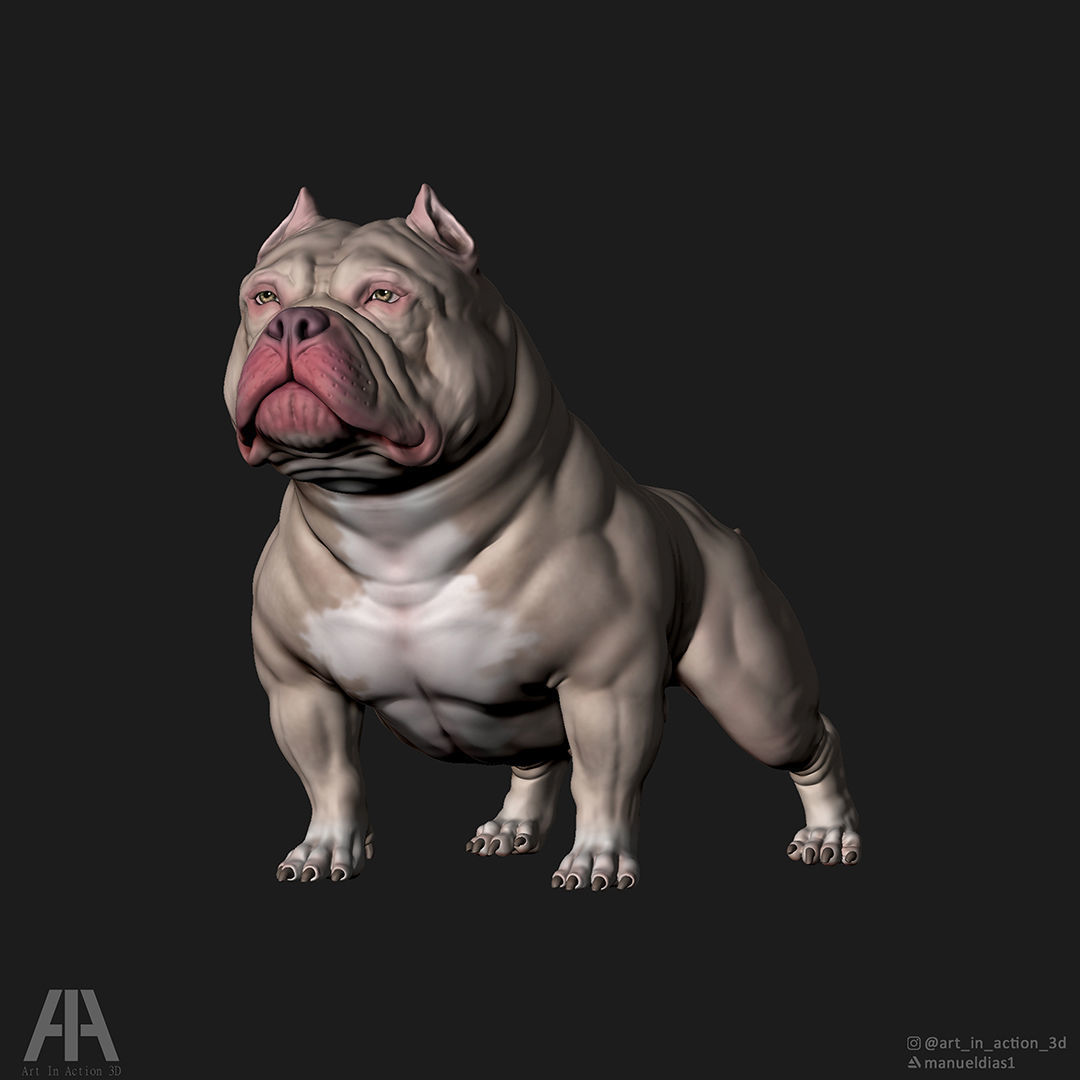 DOG AMERICAN BULLY 3D model 3D printable | CGTrader