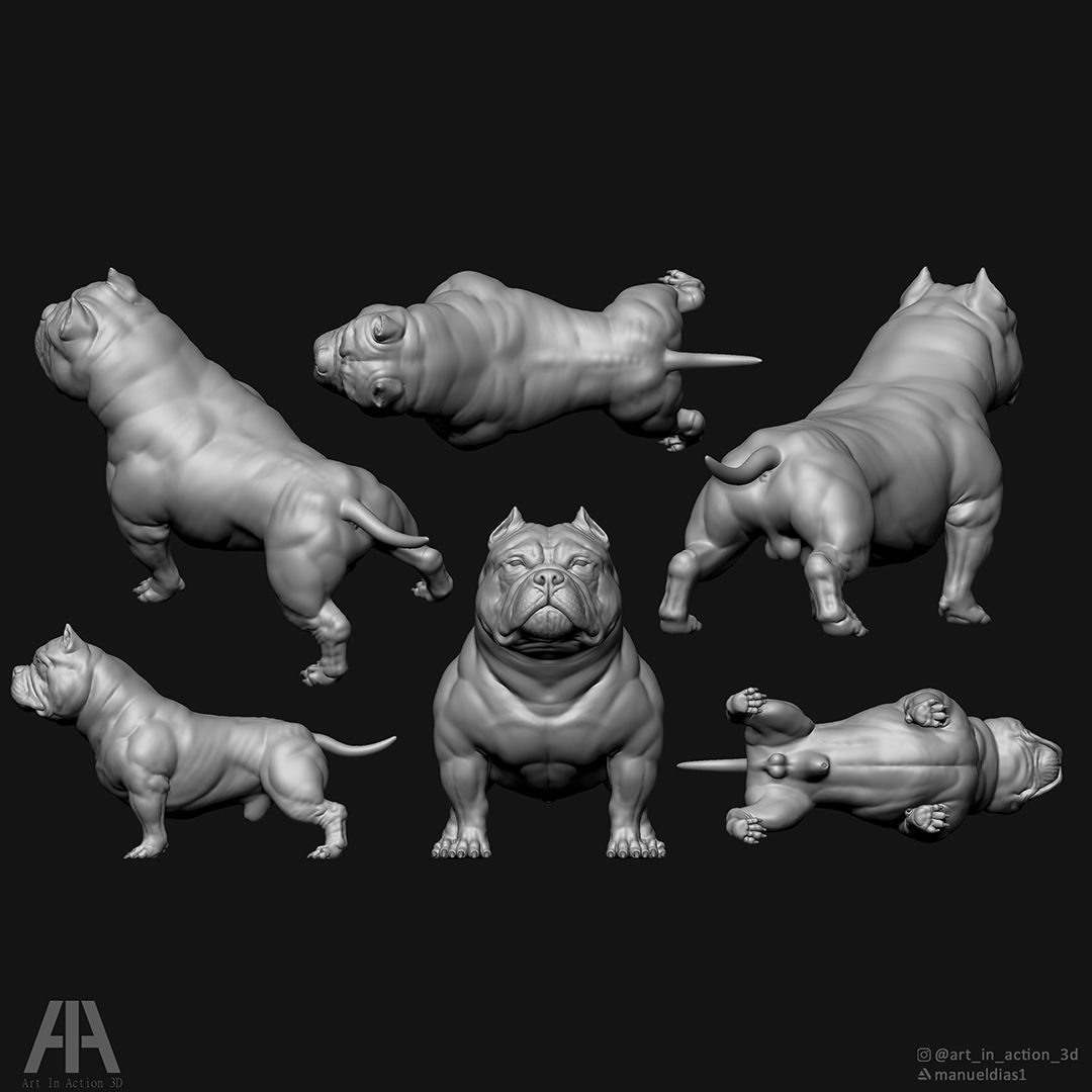 DOG AMERICAN BULLY 3D model 3D printable | CGTrader