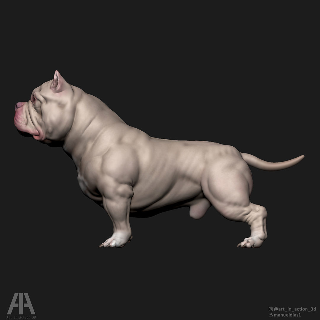 DOG AMERICAN BULLY 3D model 3D printable | CGTrader