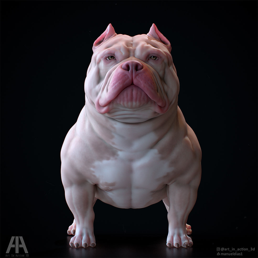 DOG AMERICAN BULLY 3D model 3D printable | CGTrader