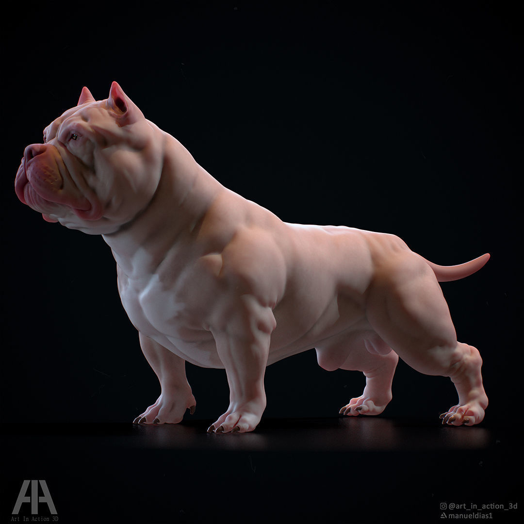 DOG AMERICAN BULLY 3D model 3D printable | CGTrader