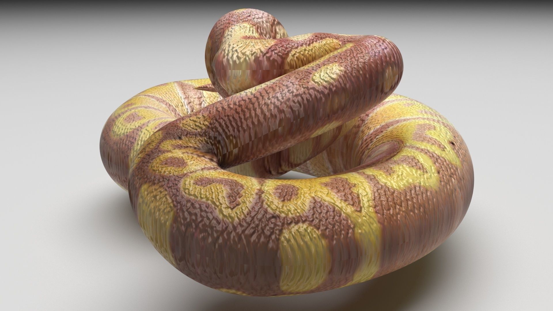 Banana Ball Python Snake 3D model | CGTrader
