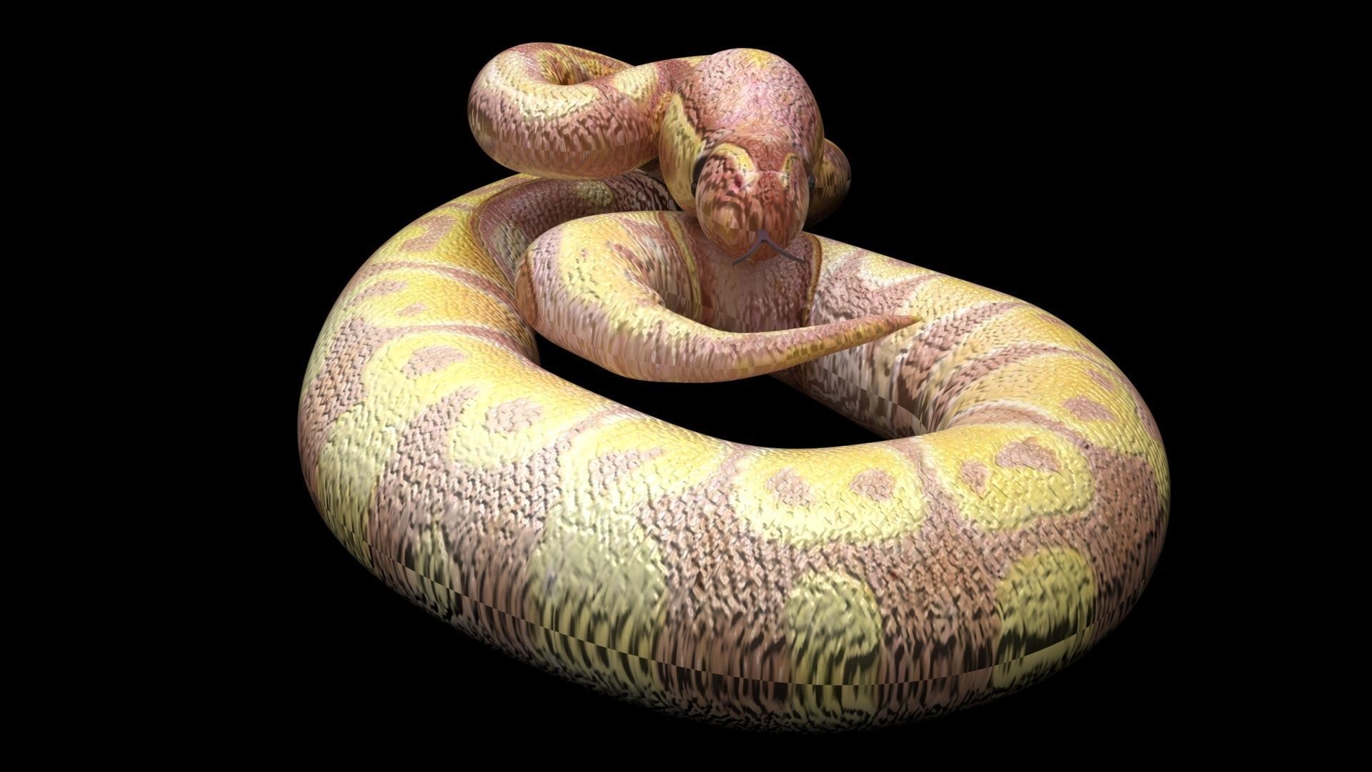 Banana Ball Python Snake 3D model | CGTrader